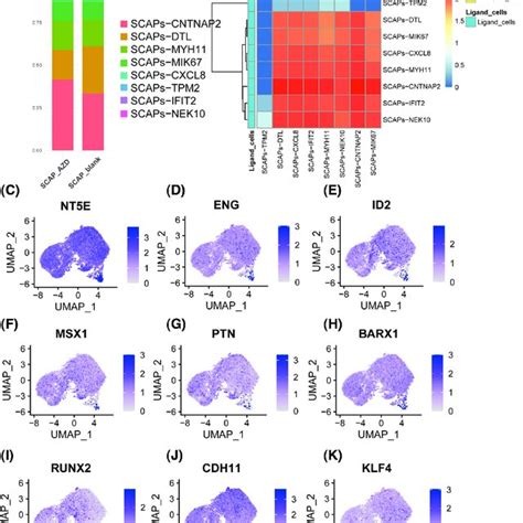 Histogram Showing The Proportion Of Each Cluster Type In The