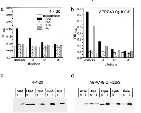 Figure 4 From The Periplasmic Escherichia Coli Peptidylprolyl Cistrans Isomerase Fkpa