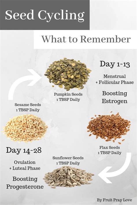 Seed Cycling Protein Bites Luteal Phase Energy Balls Artofit