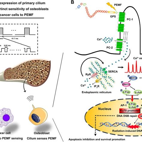 Angles Of Sensor Positioning Angles Of Sensor Positioning Using The