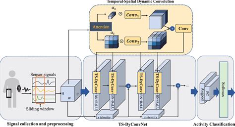 figure 1 from temporal spatial dynamic convolutional neural network for