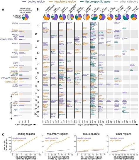 Science 癌症体细胞非编码突变模式的全基因组分析 知乎