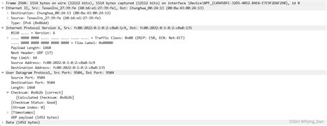 Rtos Ipv6笔记ipv6 Header Structure定義 Csdn博客 Rtos Ipv6笔记ipv6 Header Structure定義 Csdn博客