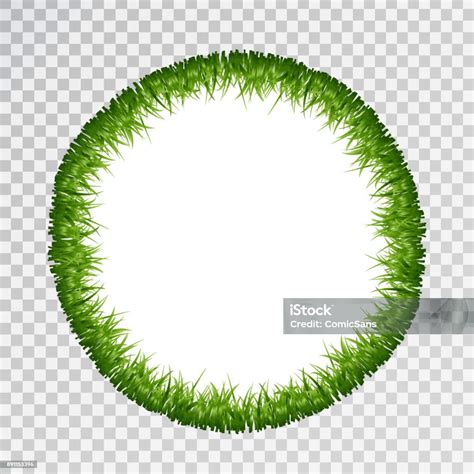 Vector Realistic Isolated Green Grass Frame Background For Decoration