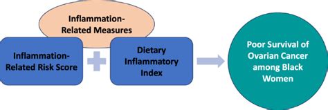 黑人女性多中心队列研究中炎症相关暴露与卵巢癌生存的关联british Journal Of Cancer X Mol