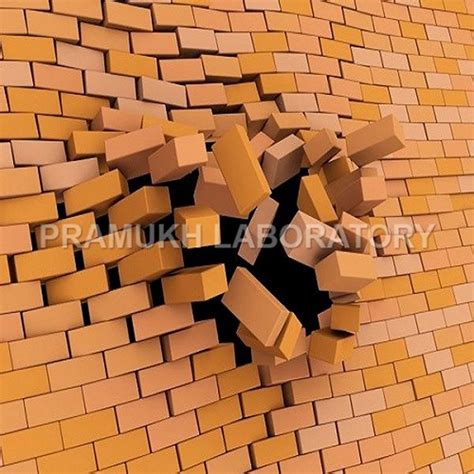 Lime Brick Testing Services At Rs 199 In Ahmedabad Id 2855109056862