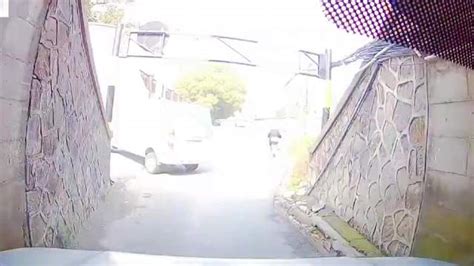 我说你笨，你还真笨新浪新闻