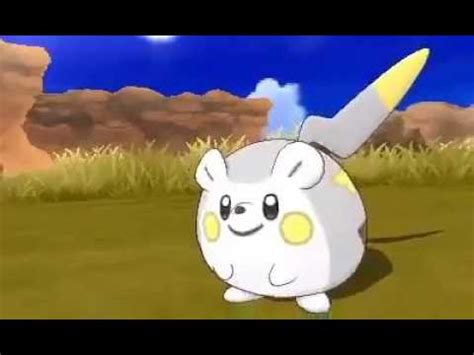Pokemon Sun And Moon Togedemaru Revealed YouTube