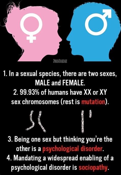In A Sexual Species There Are Two Sexes MALE And FEMALE Of Humans Have XX Or XY
