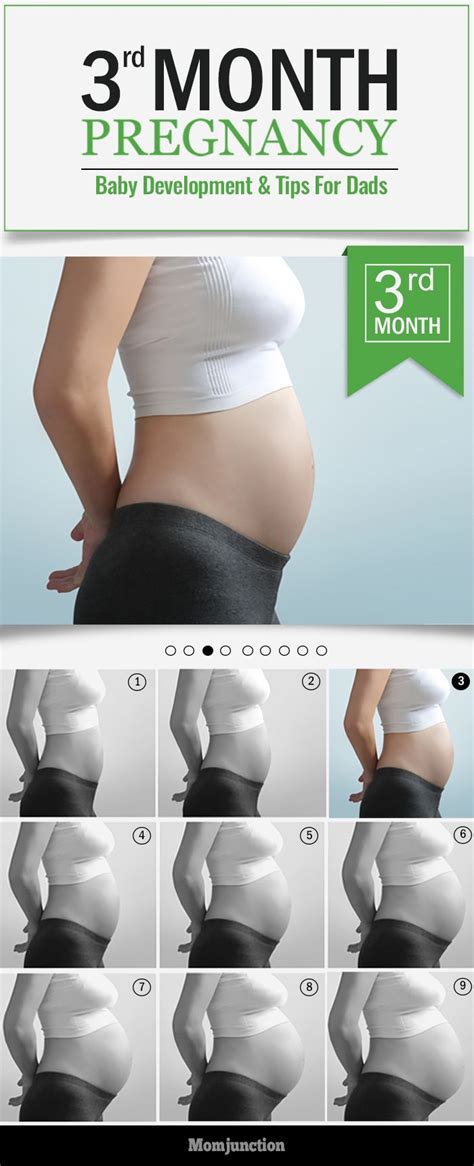 Pregnant Belly 3 Months