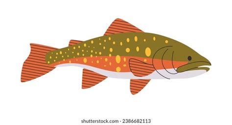 Brook Trout Clip Art