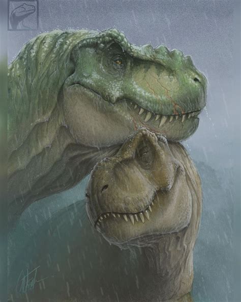 Buck And Doe T Rex Drawing