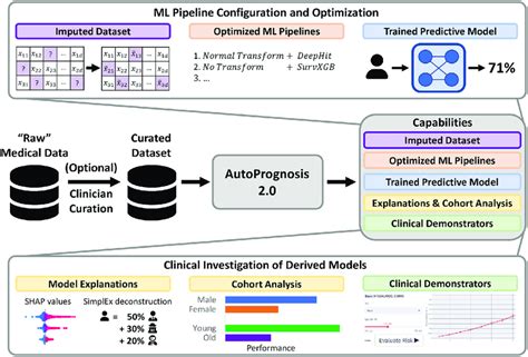 Overview Of The Autoprognosis 2 0 Framework Autoprognosis Takes As Download Scientific Diagram