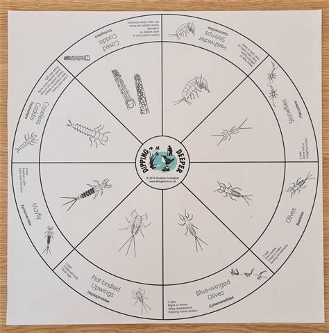 Key Documents — The Riverfly Partnership