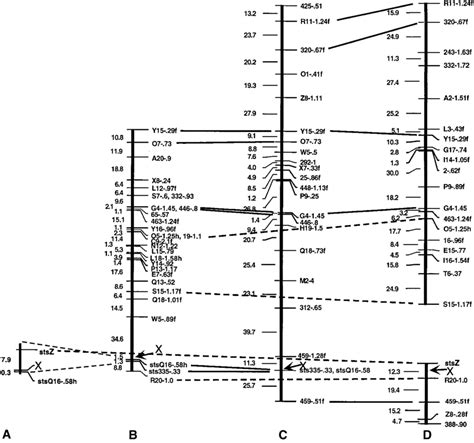 Independent Linkage Maps Of The Sex Locus Linkage Group III The Download Scientific Diagram