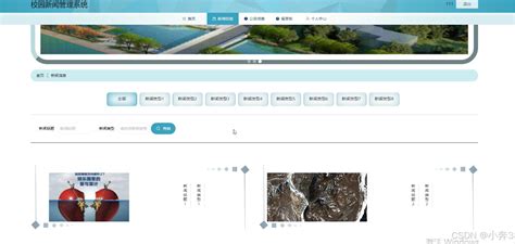 Springbootvue校园新闻管理系统【程序论文开题】计算机毕业设计 Csdn博客