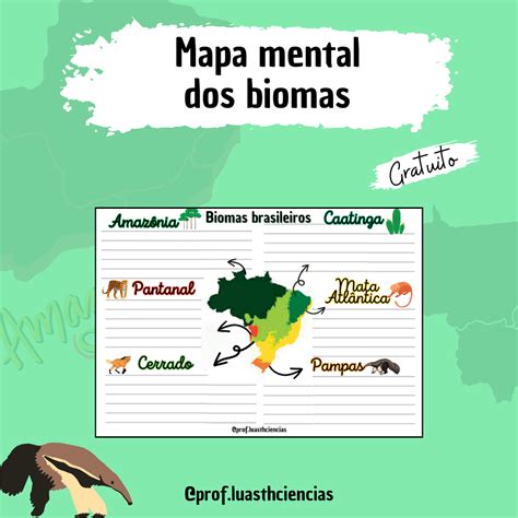 Mapa Mental Dos Biomas Fdplearn
