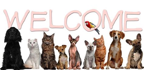 Грижа за домашни любимци