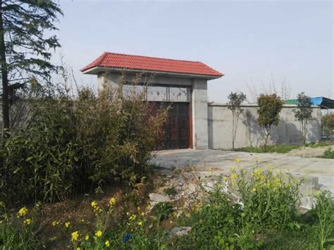 邓州市腰店镇：是谁让秋树林里建起“深宅大院”