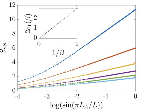 Non Unitary Dynamics