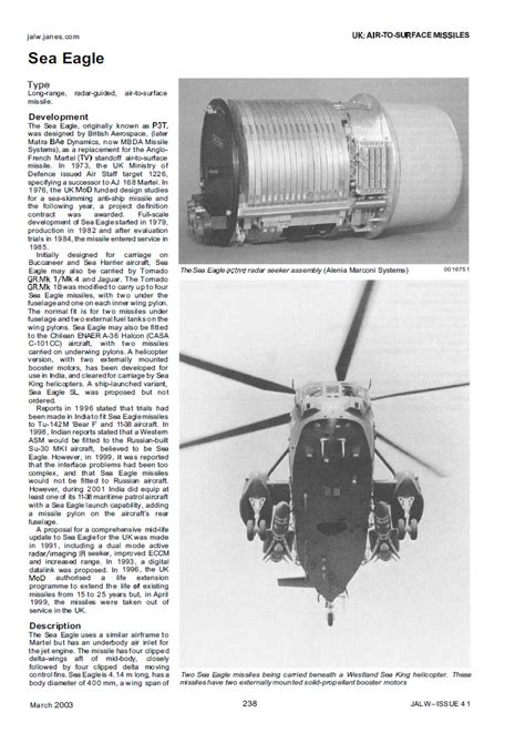 Sea Eagle Anti Ship Missile For Attacking Land Targets Aircraft War