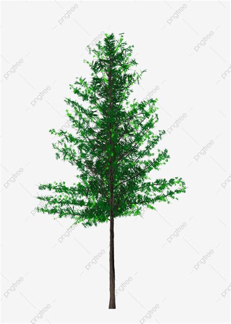 큰 나무 일러스트 소나무 인공 소나무 클립 아트 큰 나무 소나무 Png 일러스트 및 Psd 이미지 무료 다운로드 Pngtree