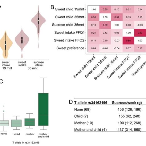 A Violin Plots Illustrating The Distribution Of Summary Scores From