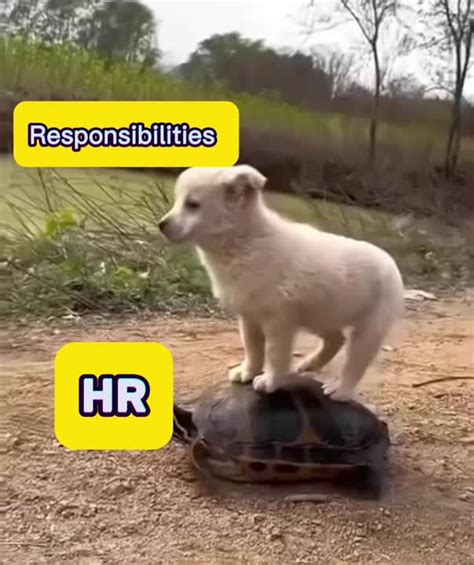 Safi Ullah On Linkedin 😜