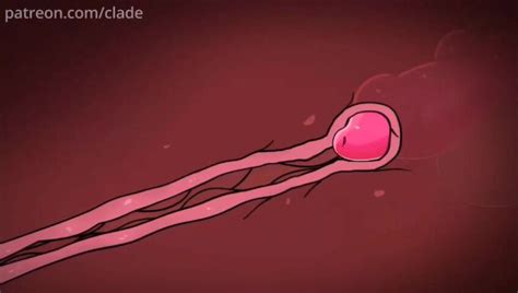 Doing Fucking With Best Friend Until Satisfied