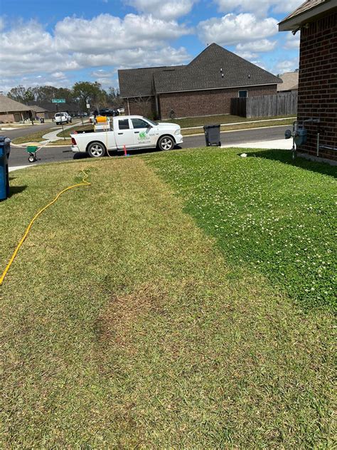When To Use Pre Emergent Weed Control