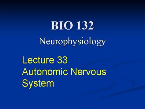 BIO Neurophysiology Lecture Autonomic Nervous System