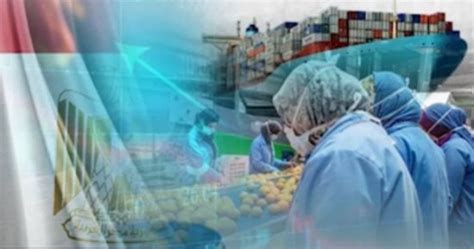 ارتفاع صادرات الصناعات الغذائية بنسبة 30 لتحقق 27 مليار دولار اليوم