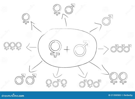 Esquema del sexo stock de ilustración Ilustración de ensamblado