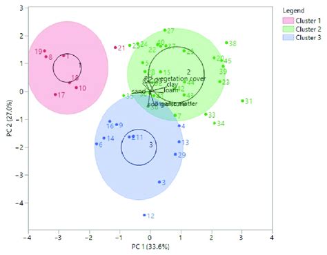 Results Of The Principal Component Analysis Pca And K Means Cluster Download Scientific