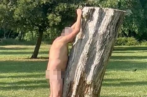 Man Arrested After Getting Intimate With Tree Stump In Wiltshire Park