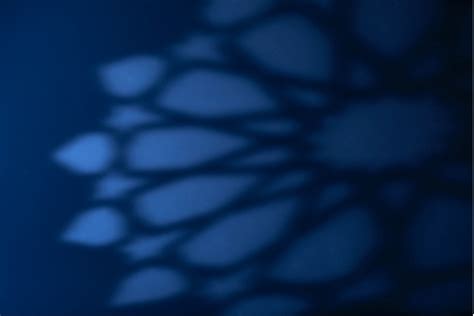 Oracy — Shsg English