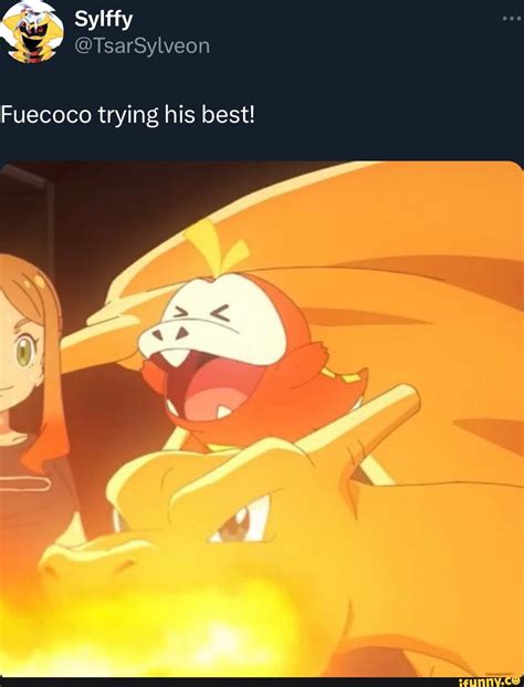 Fuecoco Memes Best Collection Of Funny Fuecoco Pictures On Ifunny