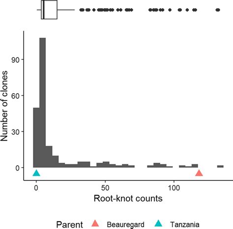 Histogram And Boxplot Of The Adjusted Means Of Root Knot Counts In The