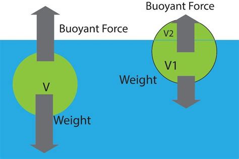 What Do You Mean By Buoyancy