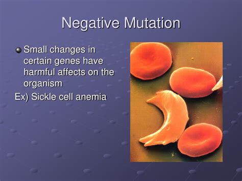 Ppt Mutations Powerpoint Presentation Free Download Id3990738