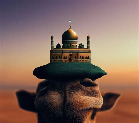 Cair Wants Schools To Consult Mosques Before Teaching Sex Ed Daniel