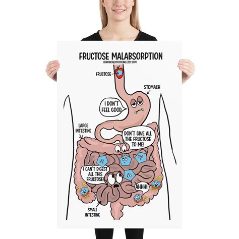 Fructose Malabsorption Funny Cartoon Diagram Poster Etsy