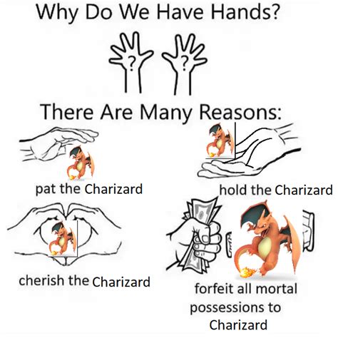 Lovecharizard R Pokemon