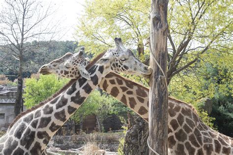 에버랜드 로스트밸리 10주년 스페셜 프로그램 운영 삼성물산 뉴스룸