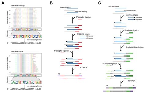 Blocking Oligo Design And Application Workflows Using Modified Truseq Download Scientific