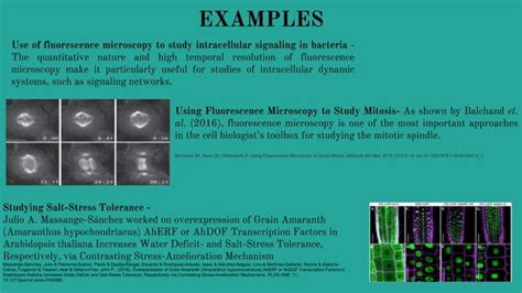 Fluorescence Microscopy Pptx