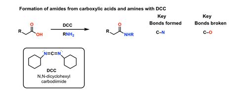 formation of amides using dcc master organic chemistry