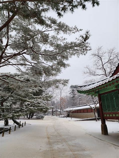 집 밖의 Snow Temple 감기 건축 겨울 겨울 관광 겨울 동화나라 겨울 야외 겨울 여행 겨울 장면 겨울의 아름다움 겨울철의 경치가 좋은 계절