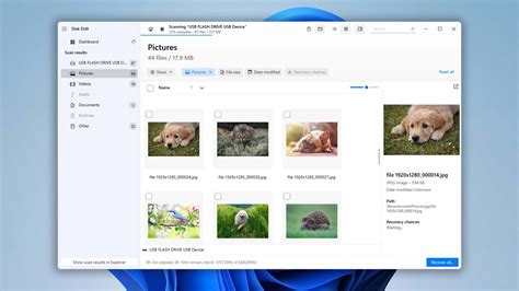 Scan Disk Windows 8 Icon