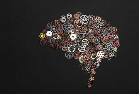 What Is Brain Plasticity Theory